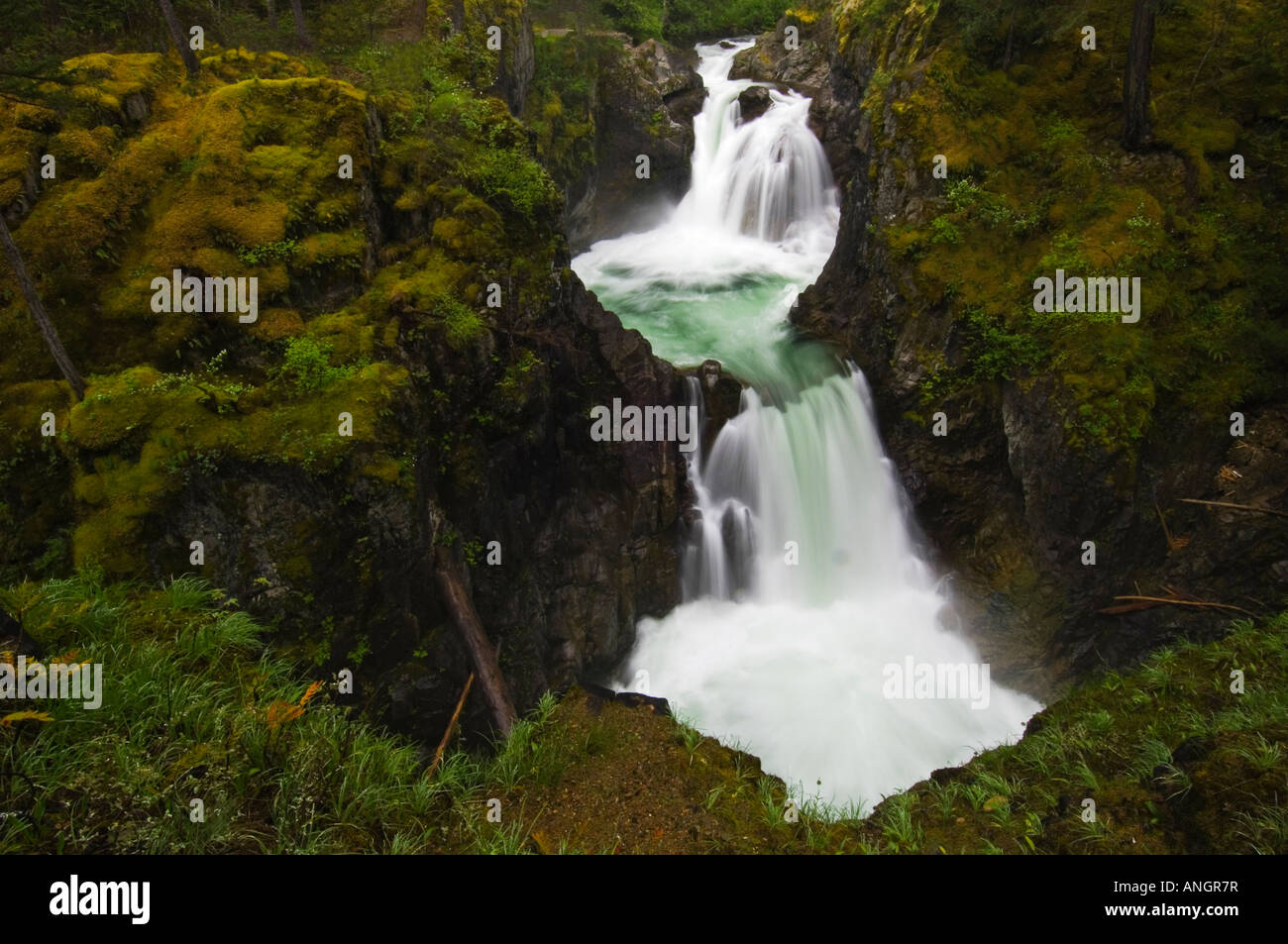 Falls along the little qualicum river hi-res stock photography and ...