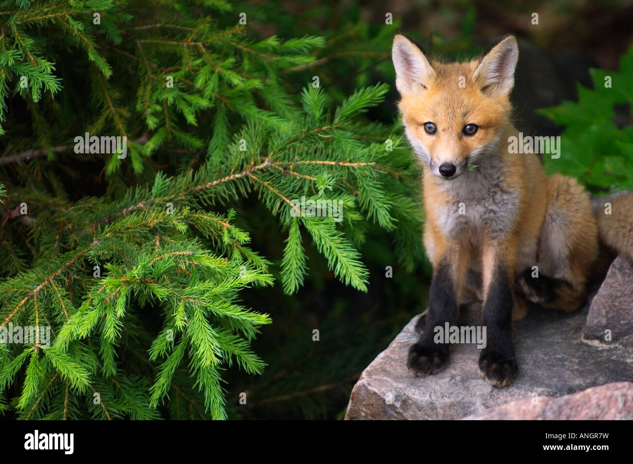 Photography of mike young hi-res stock photography and images - Alamy