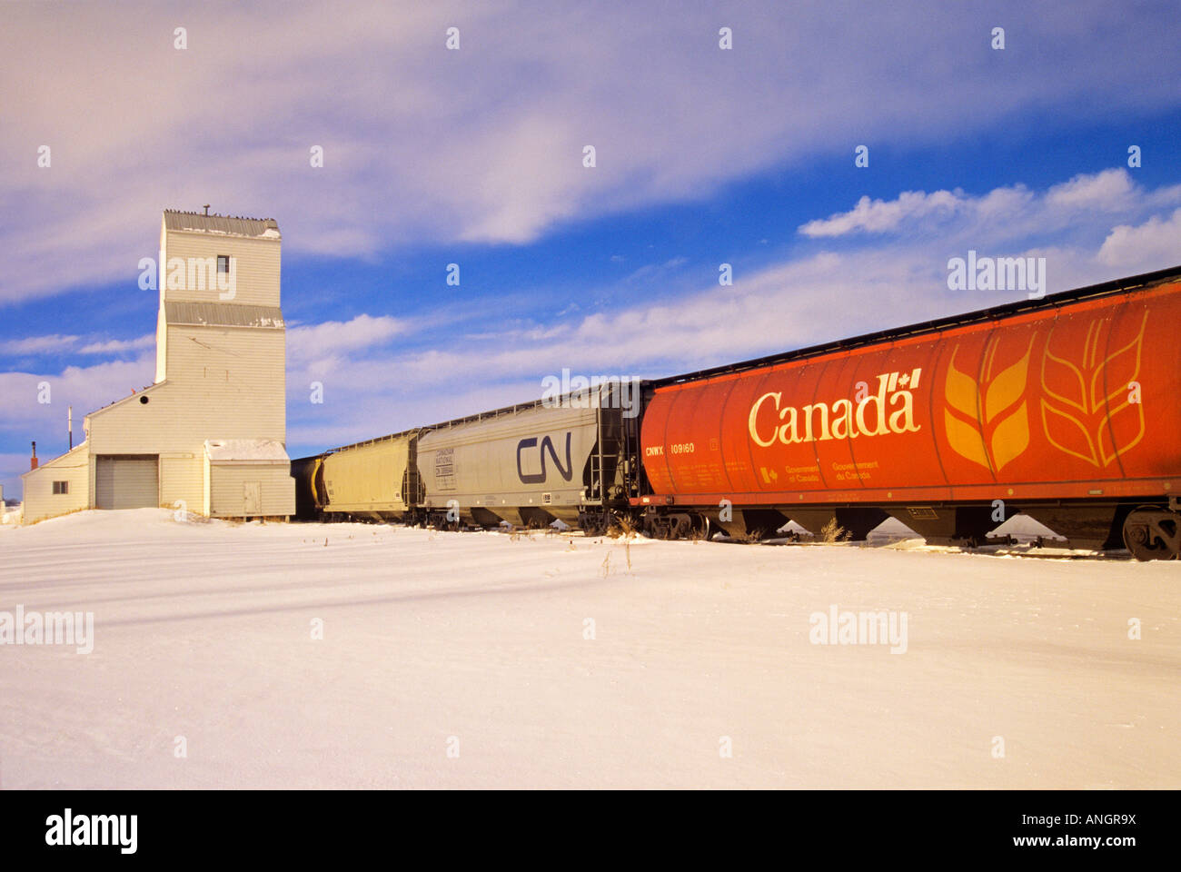 grain elevator and train, Mundare, Alberta, Canada Stock Photo - Alamy