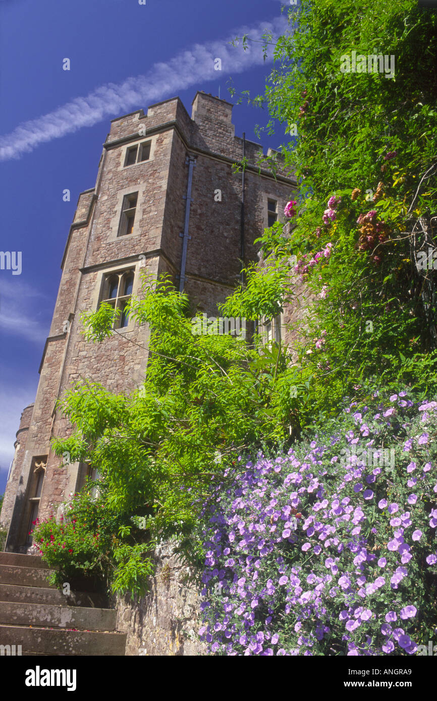 Dunster Castle Minehead Somerset Stock Photo - Alamy