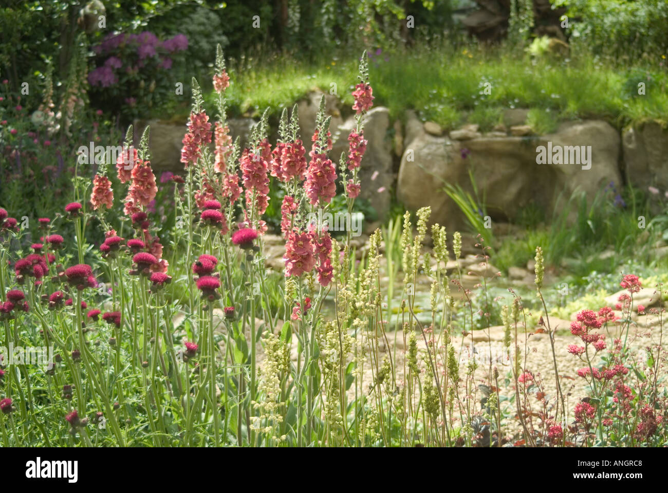 The Wildlife Trusts Lush Garden designed by Stephen Hall at Chelsea ...