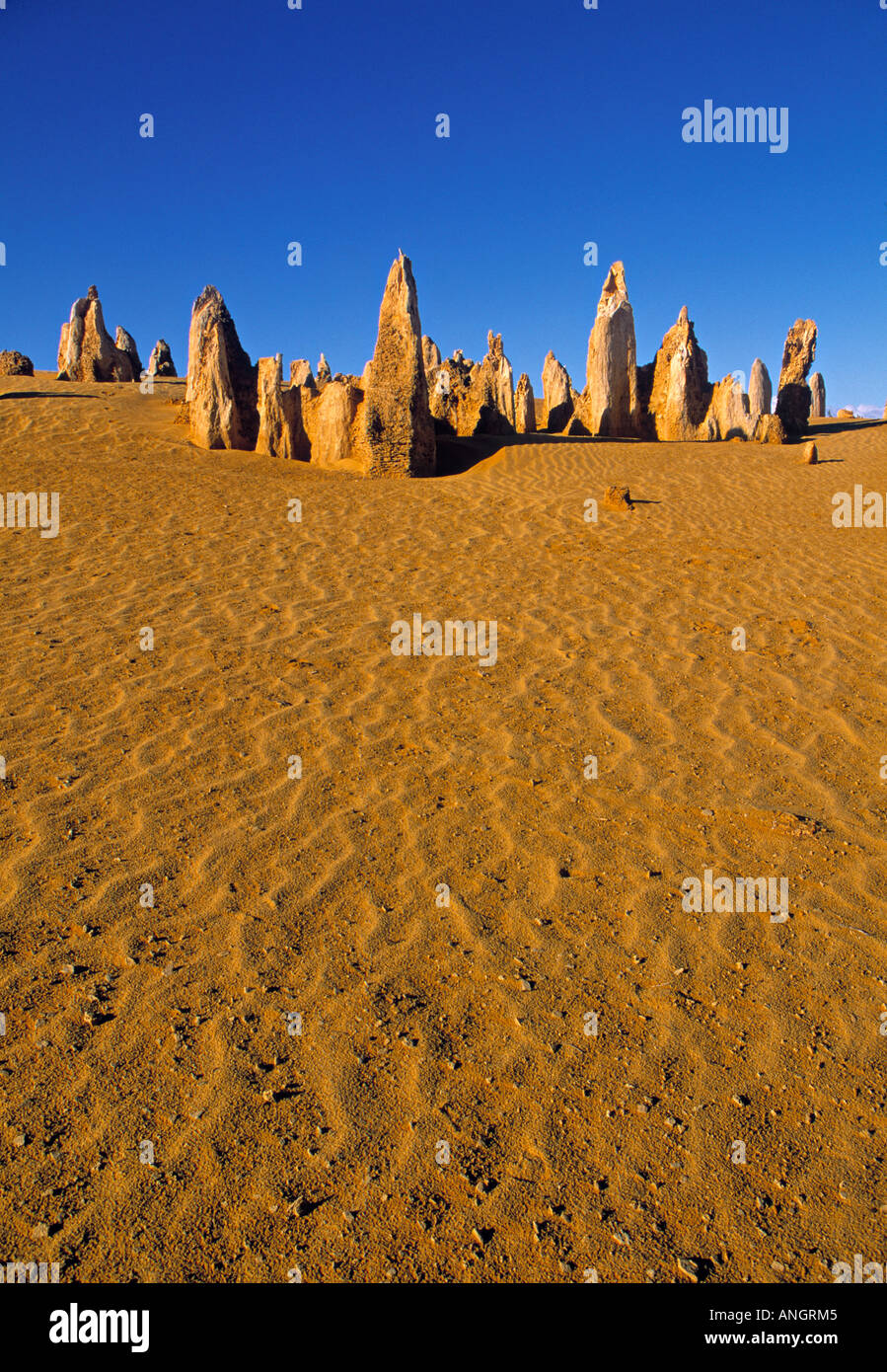 The pinnacles western australia hi-res stock photography and images - Alamy