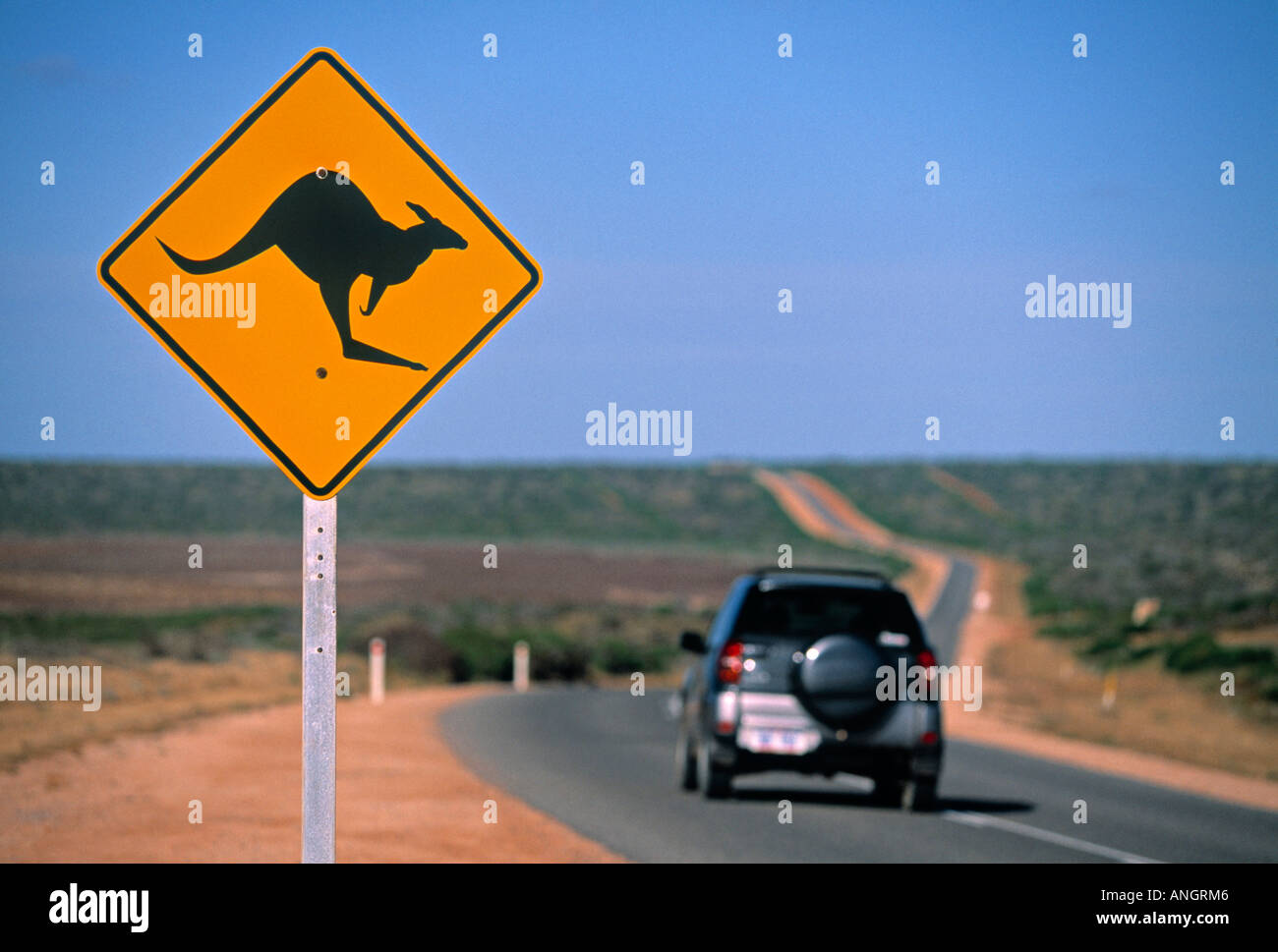 Kangaroo Road Sign, Western Australia, Australia Stock Photo - Alamy