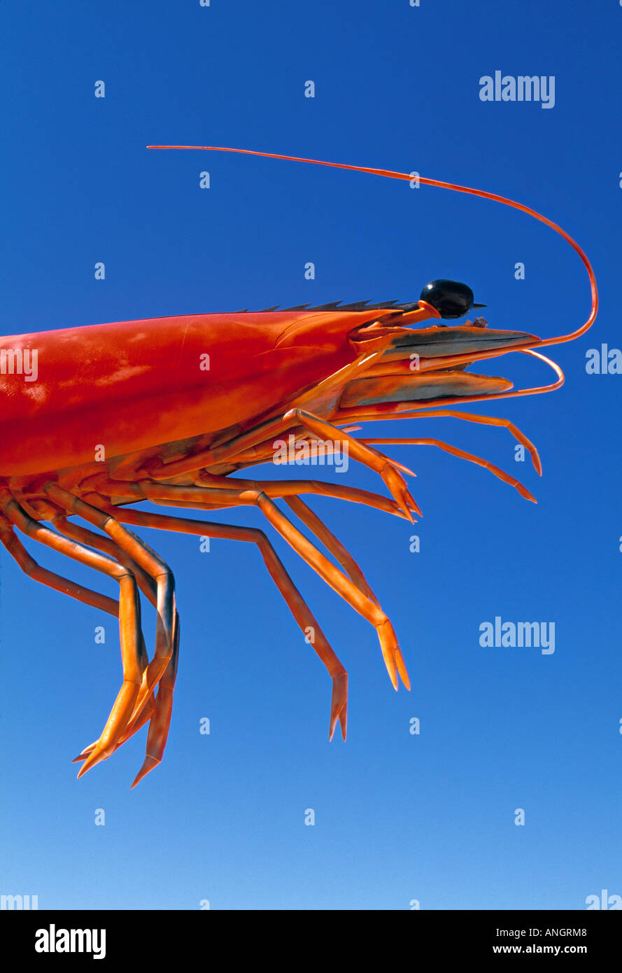 As03094 hi-res stock photography and images - Alamy