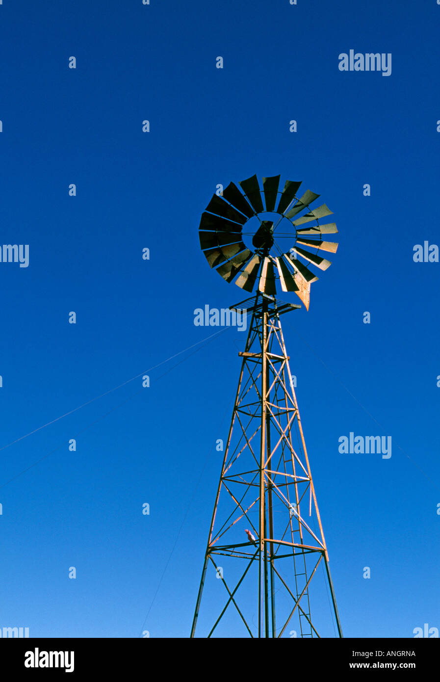 Windmill, Western Australia, Australia Stock Photo - Alamy