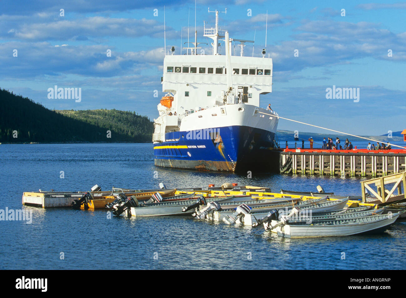Rigolet labrador hi-res stock photography and images - Alamy