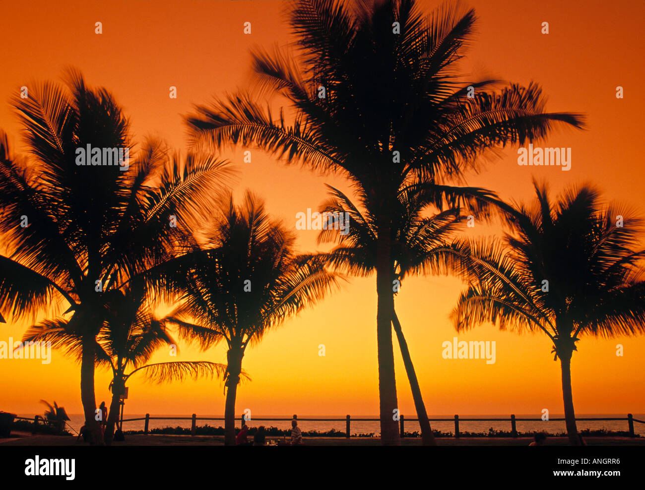 Australian sunset cable beach broome hi-res stock photography and ...