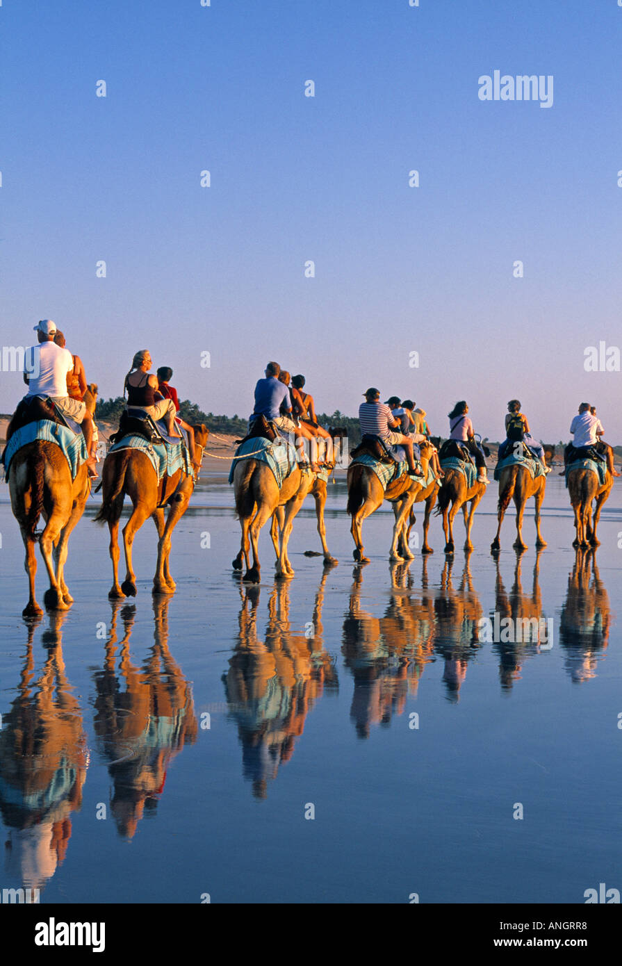 Camel trekking australia hi-res stock photography and images - Alamy