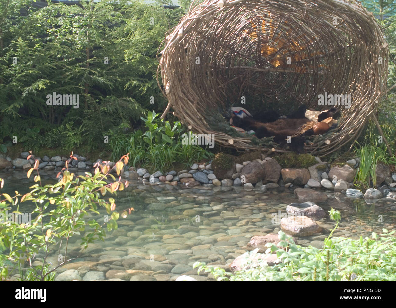 The Boreal Forest Garden designed by Landlab at Chelsea Flower Show ...