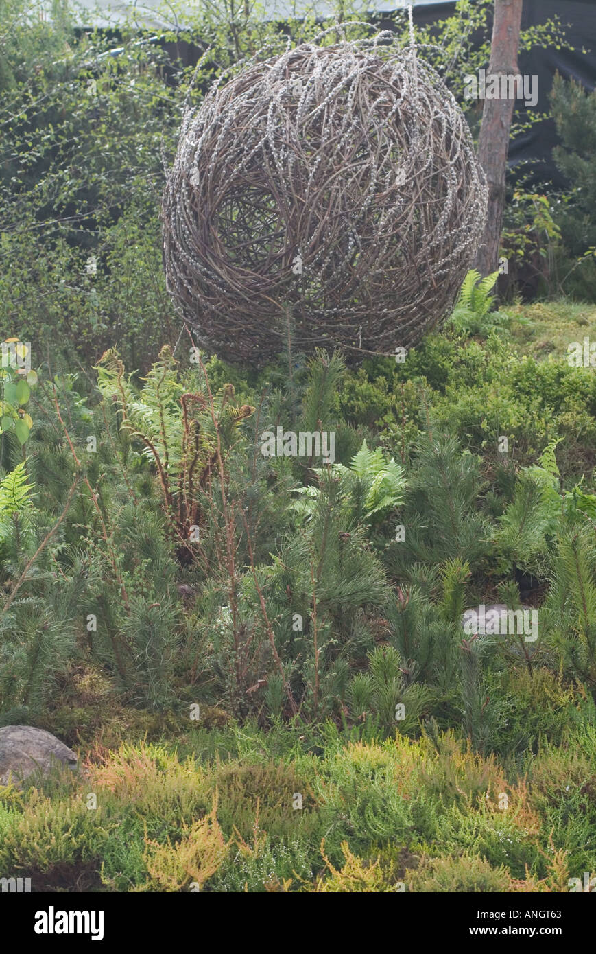 The Boreal Forest Garden designed by Landlab at Chelsea Flower Show ...