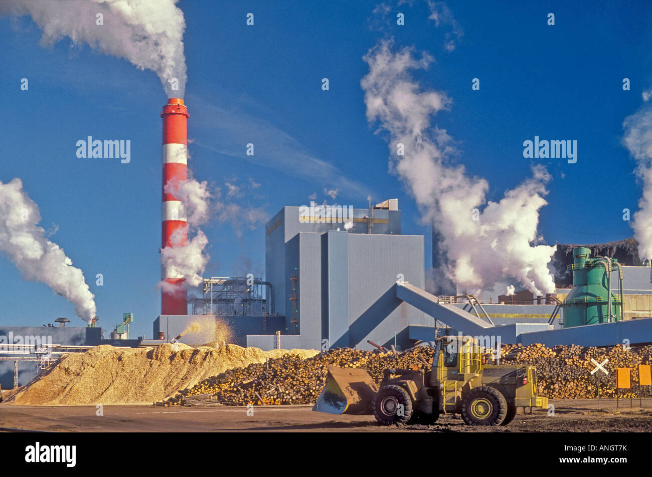 Pulp mill in thunder bay hi-res stock photography and images - Alamy