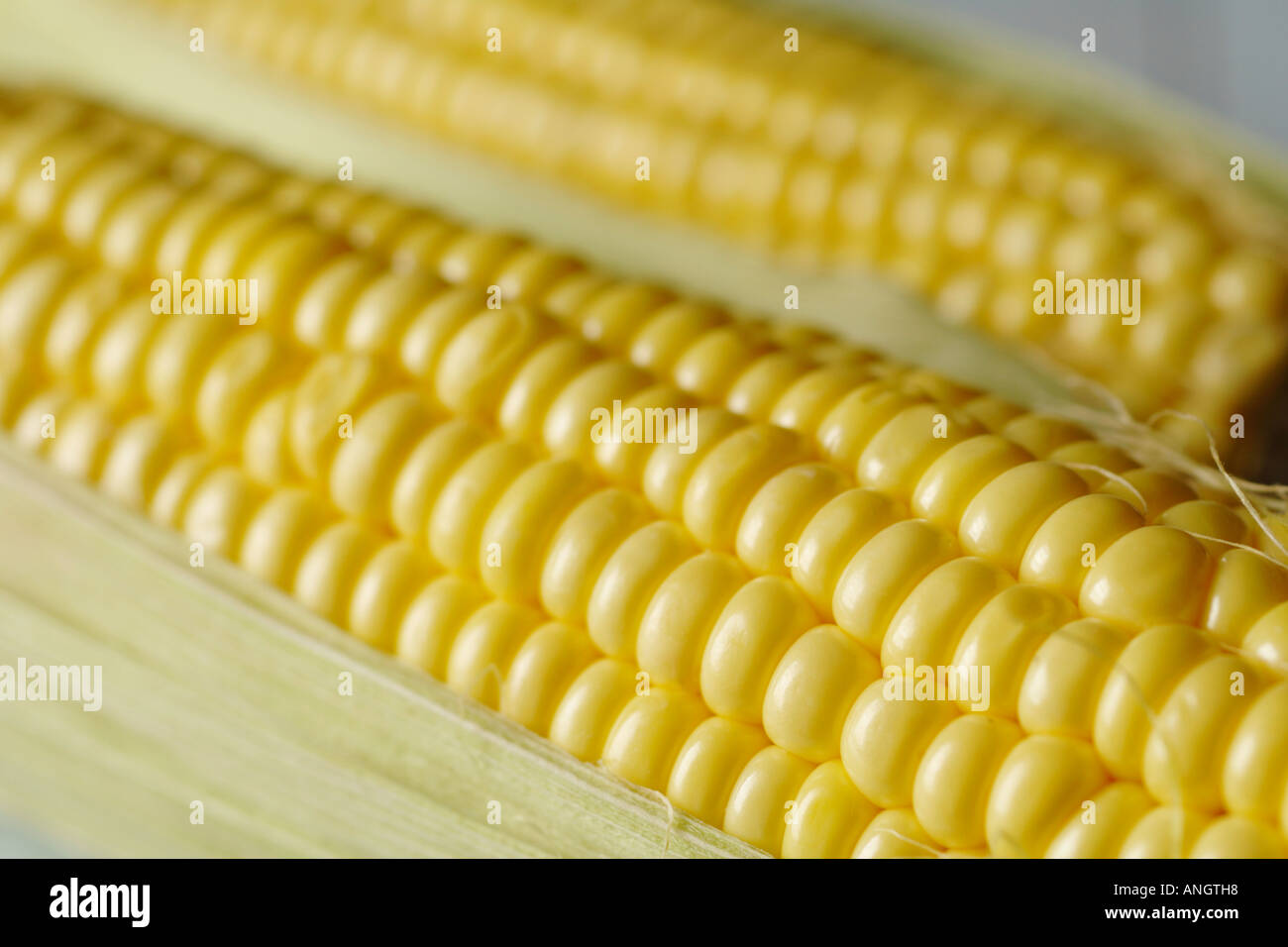 Close up sweetcorn hi-res stock photography and images - Alamy