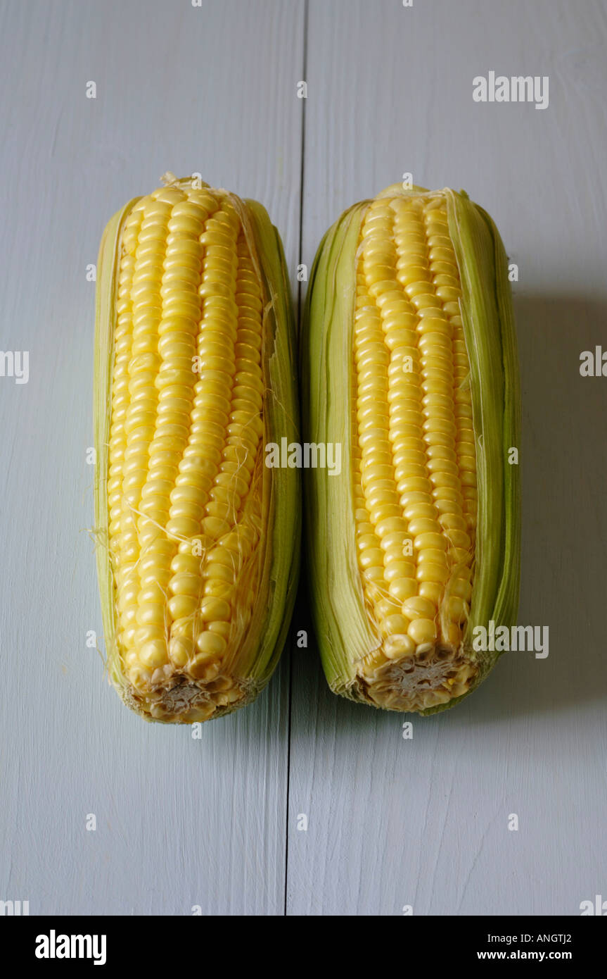 Sweetcorn on the cob on blue table Stock Photo - Alamy