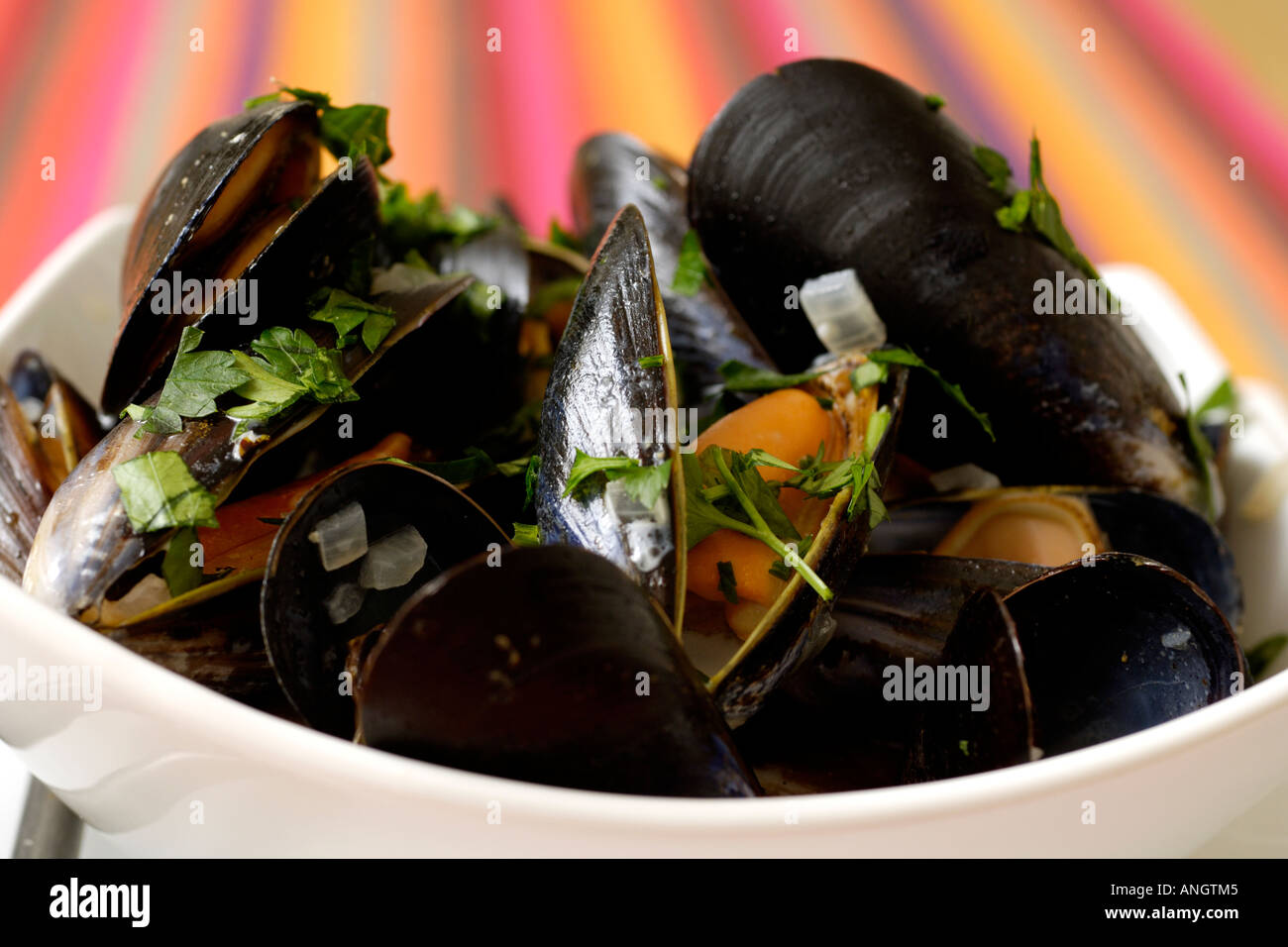Mussels moule mariniere Stock Photo - Alamy