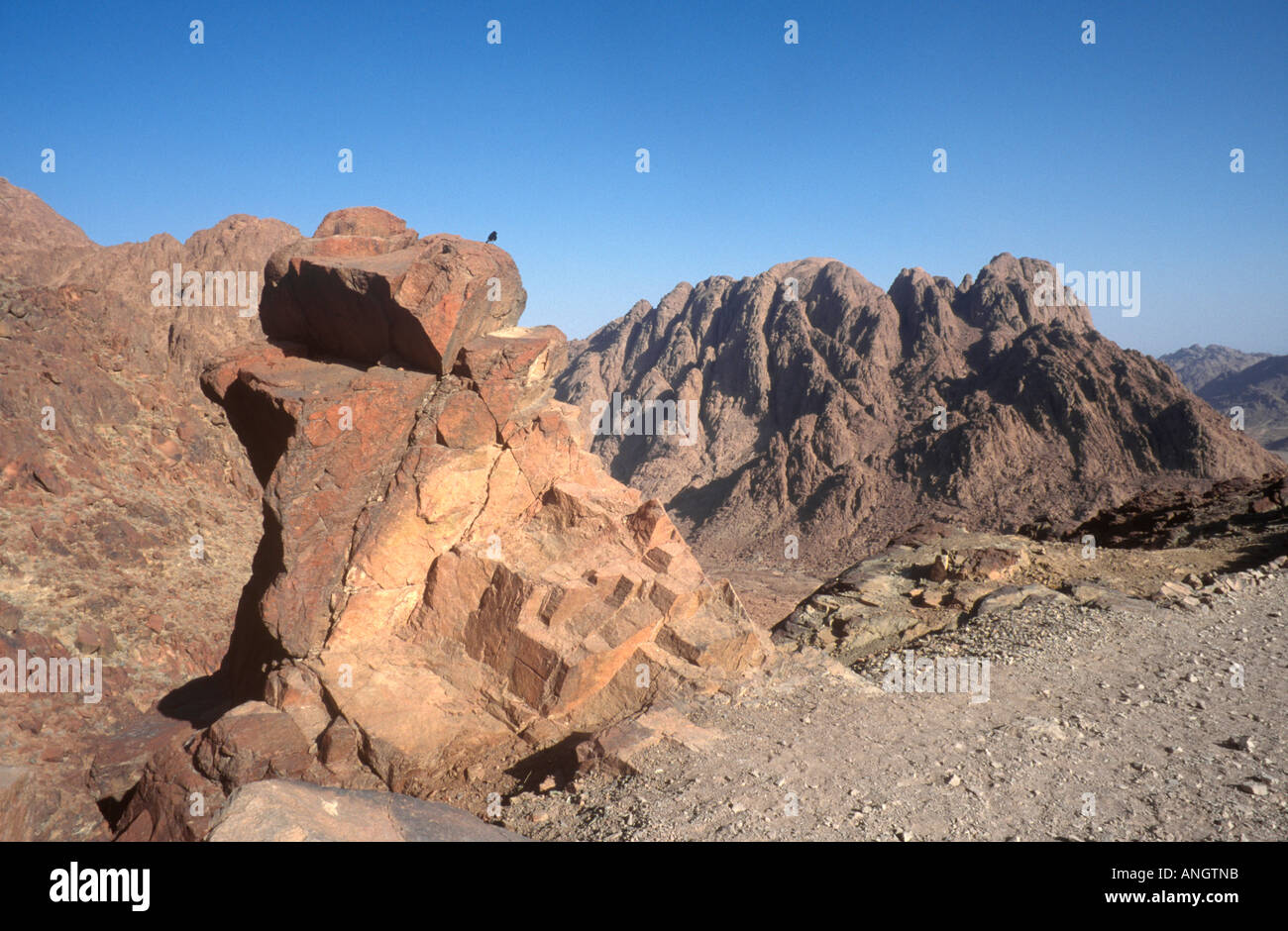 Mount Sinai, Sinai Peninsula, Egypt Stock Photo - Alamy