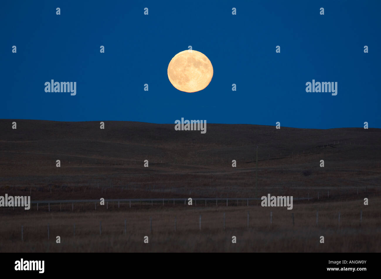 Bob moon hi-res stock photography and images - Alamy