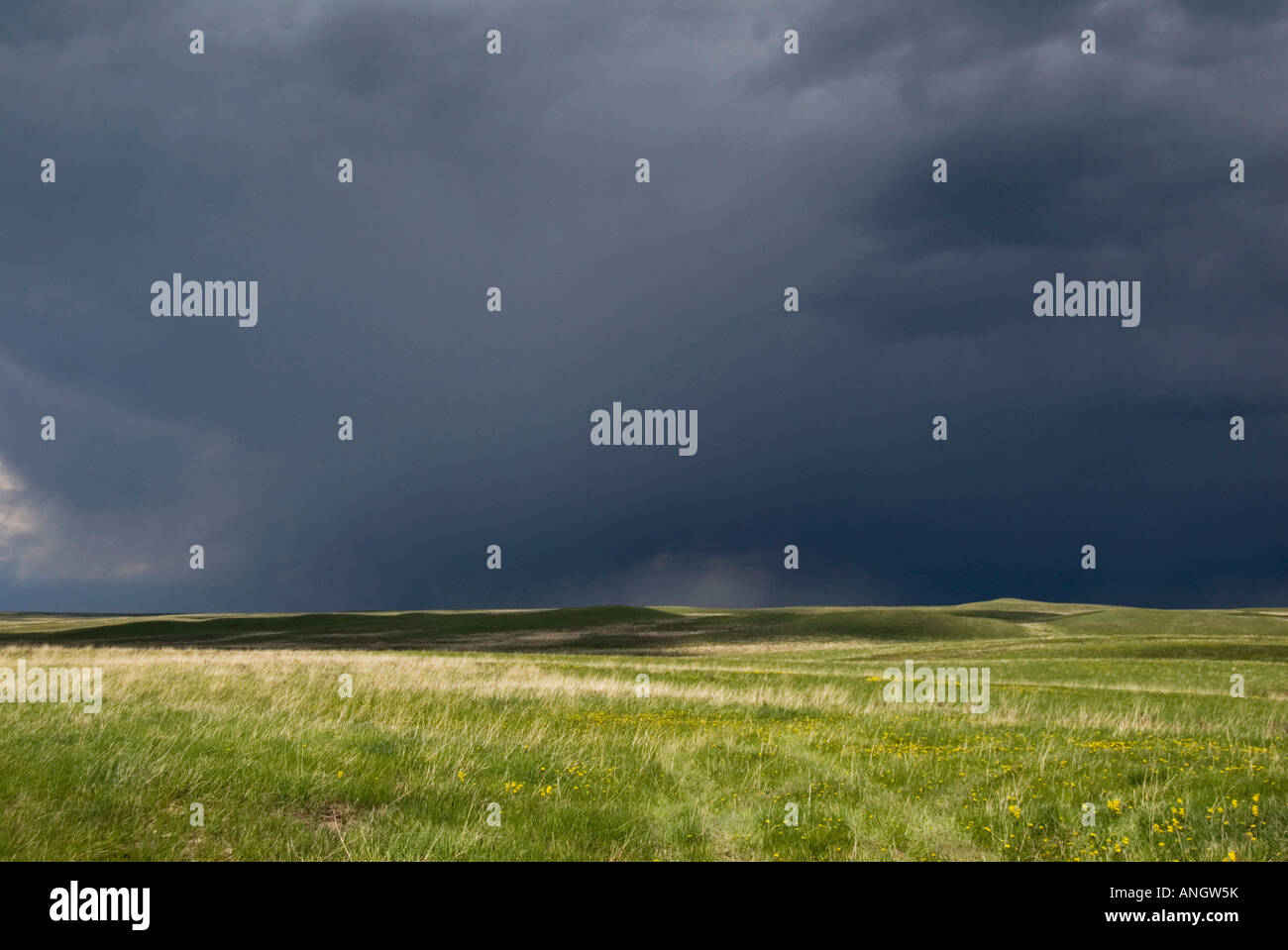 Prairie Storm. A heavy dark rain cloud is the result of a violent ...