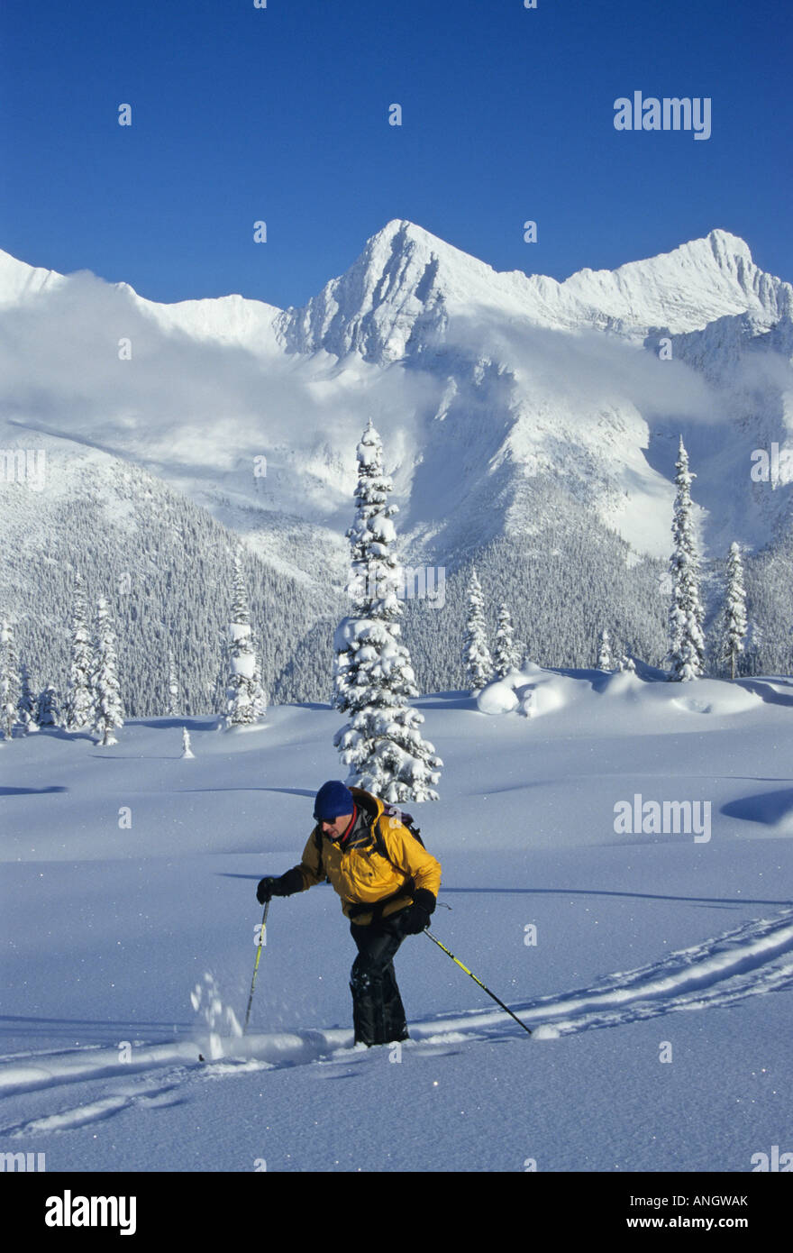 Man heading up Abbott Ridge in Rogers Pass (Glacier National Park ...