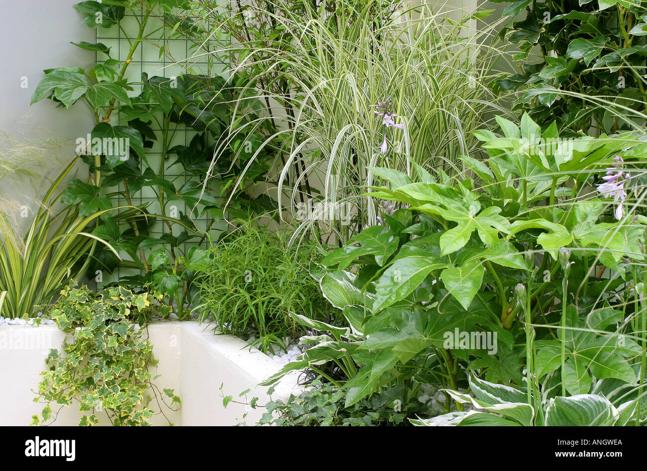 JOURNEY OF THE SENSES DESIGNERS JO WARD ELLISON AND JANETTE DOLLAMORE ...