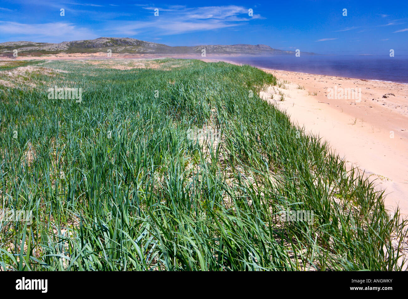 Pinware river provincial park hi-res stock photography and images - Alamy