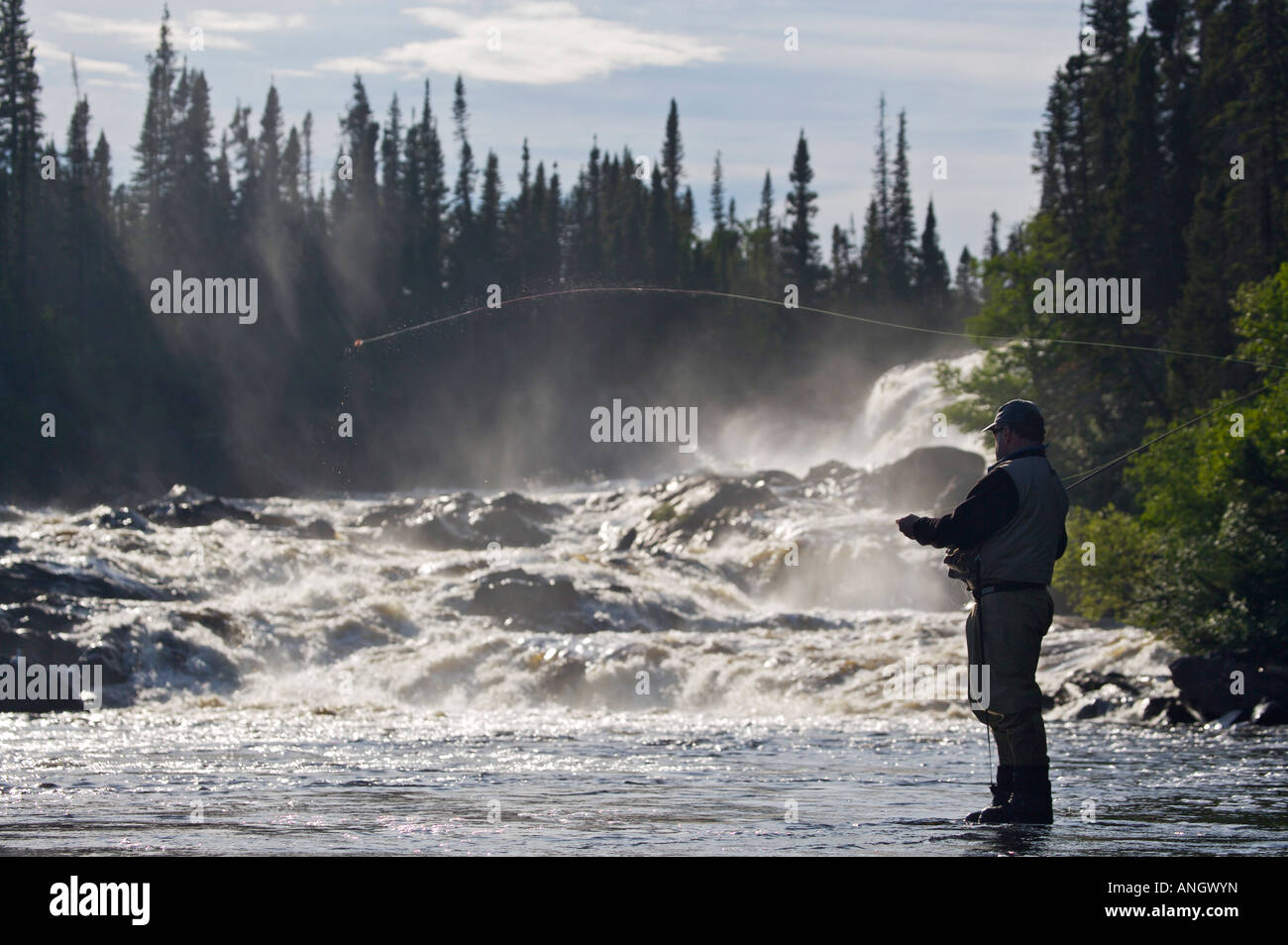 Bear river fly fishing hi-res stock photography and images - Alamy