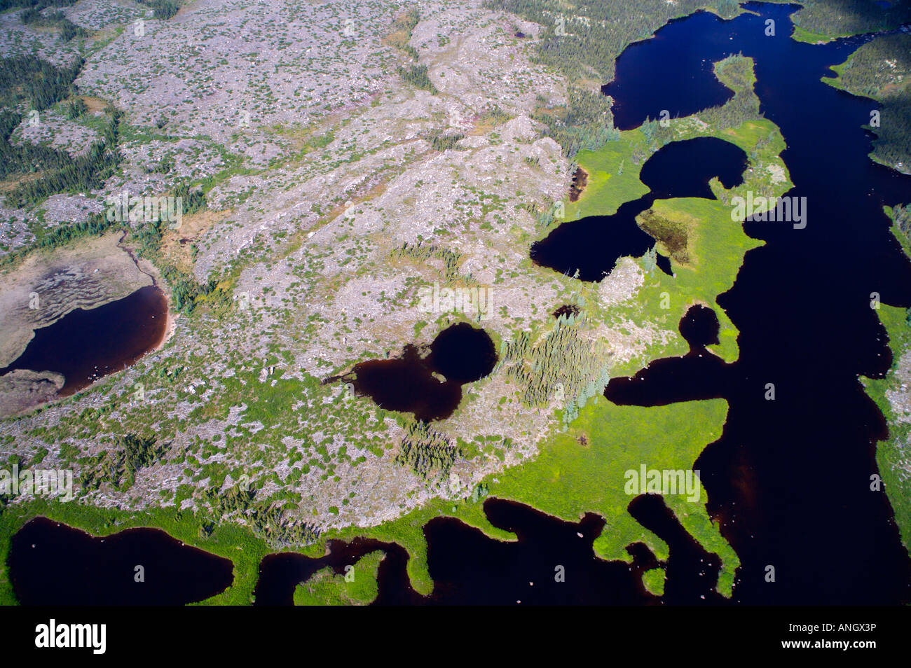 Aerial view of the Marshlands and bogs in the landscape of Southern ...