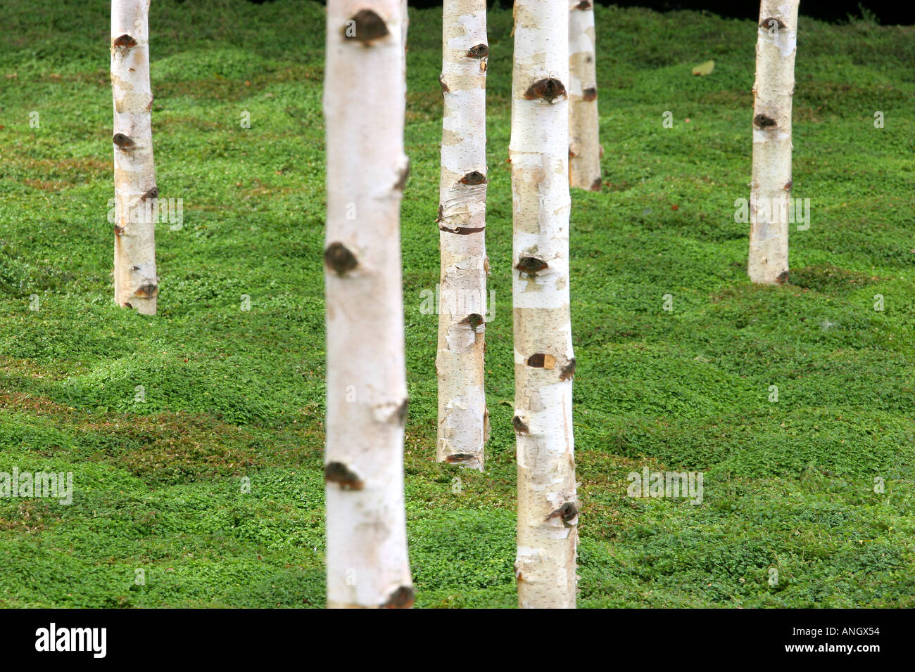 INSIDE OUT DESIGNERS ALEX DALEY AND ALICE DEVANEY TATTON PARK SHOW 2005 ...