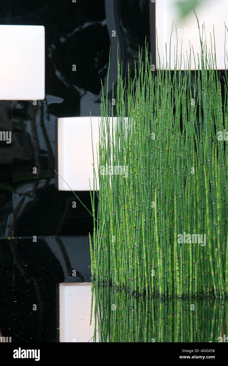 INSIDE OUT DESIGNERS ALEX DALEY AND ALICE DEVANEY TATTON PARK SHOW 2005 ...