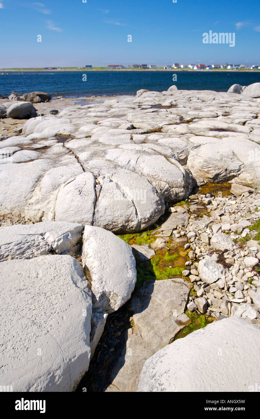Thrombolites (the earliest forms of primitive life on earth) in Flower ...