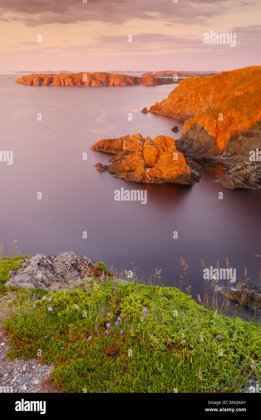 Long point lighthouse twillingate hi-res stock photography and images ...