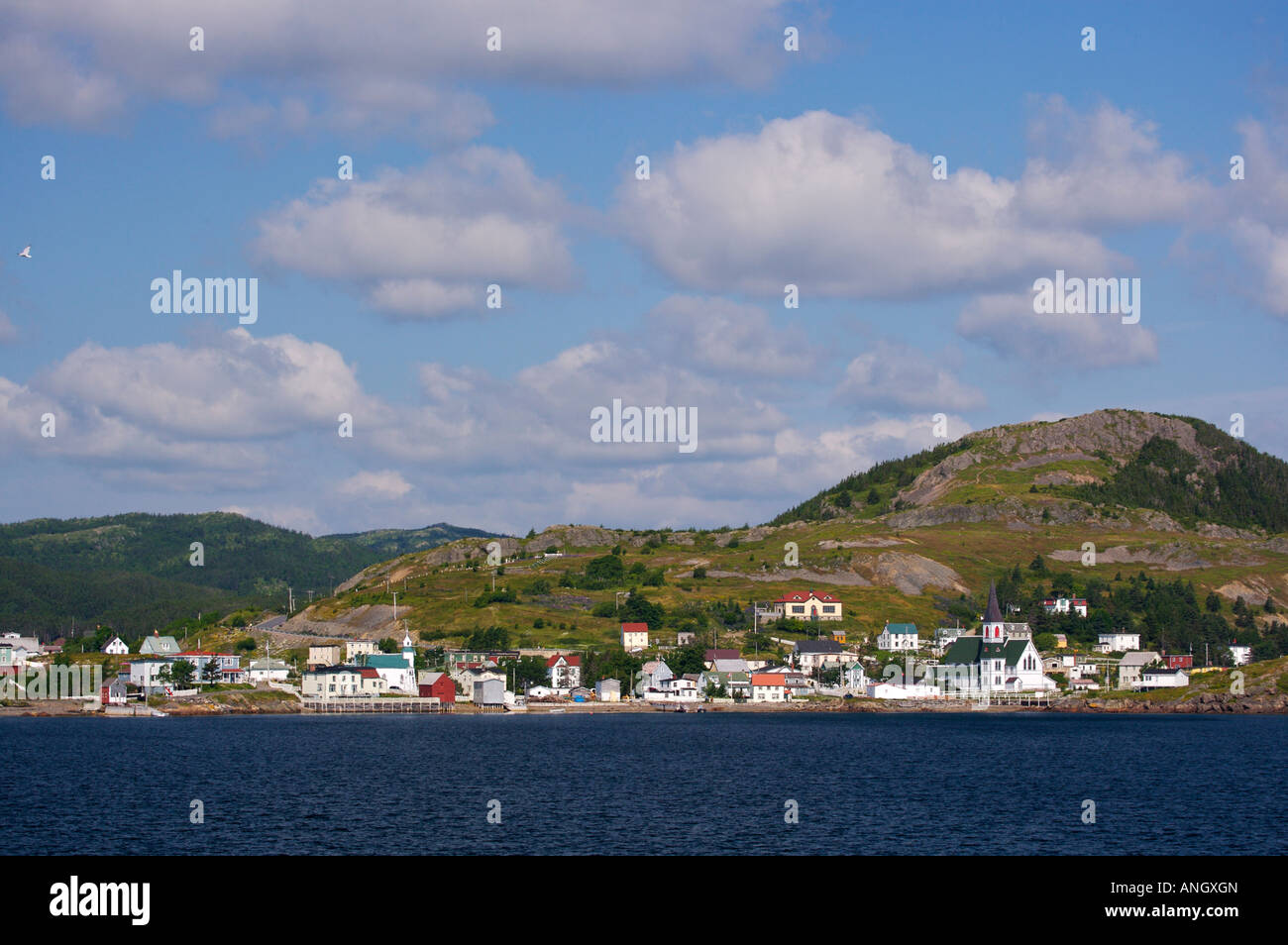 Trinity bay bonavista peninsula hi-res stock photography and images - Alamy