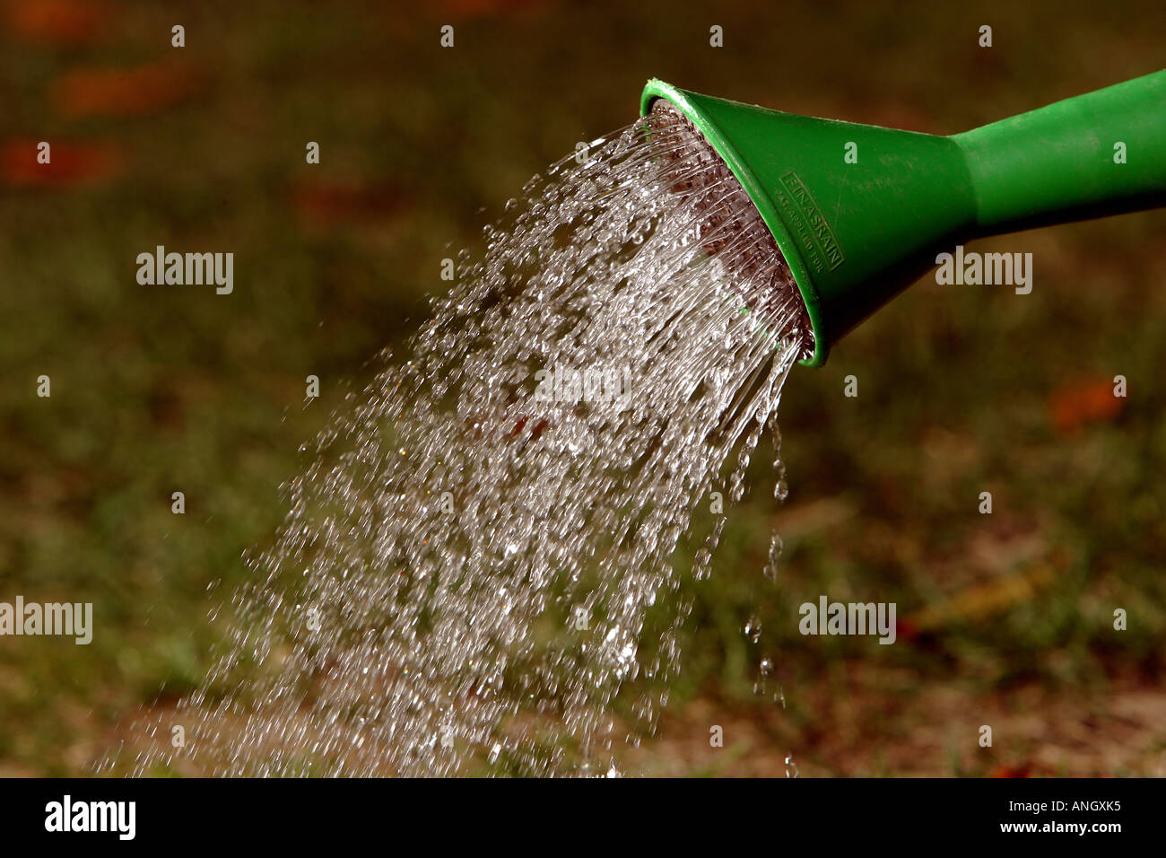 watering a garden with a watering can Stock Photo - Alamy