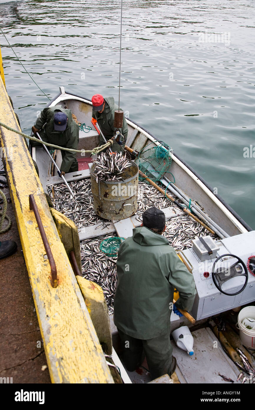Forteau bay hi-res stock photography and images - Alamy