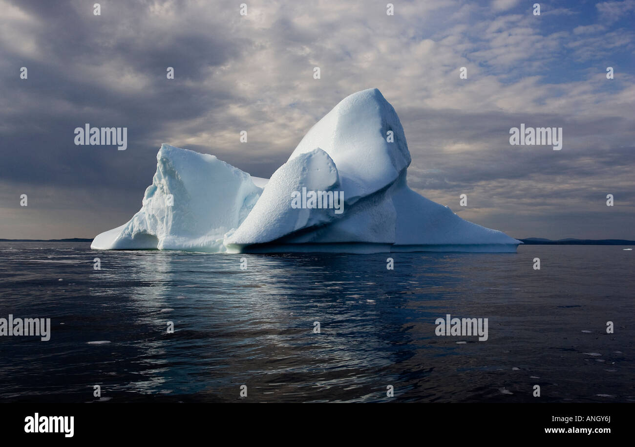 Labrador Newfoundland High Resolution Stock Photography and Images - Alamy