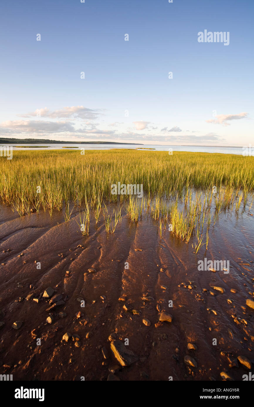 Chignecto bay hi-res stock photography and images - Alamy