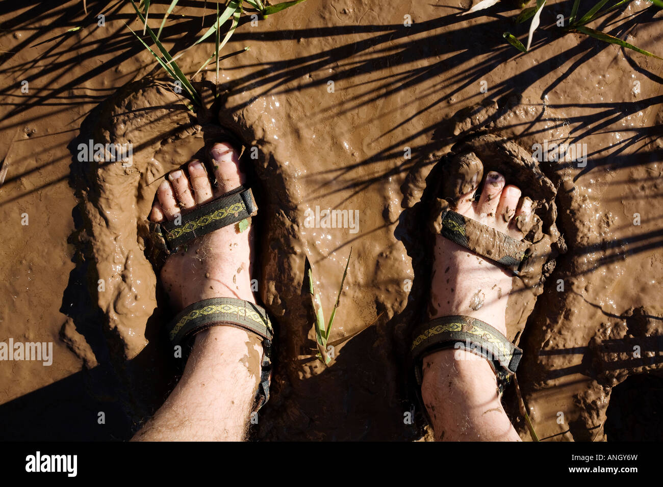 Squishy mud hi-res stock photography and images - Alamy