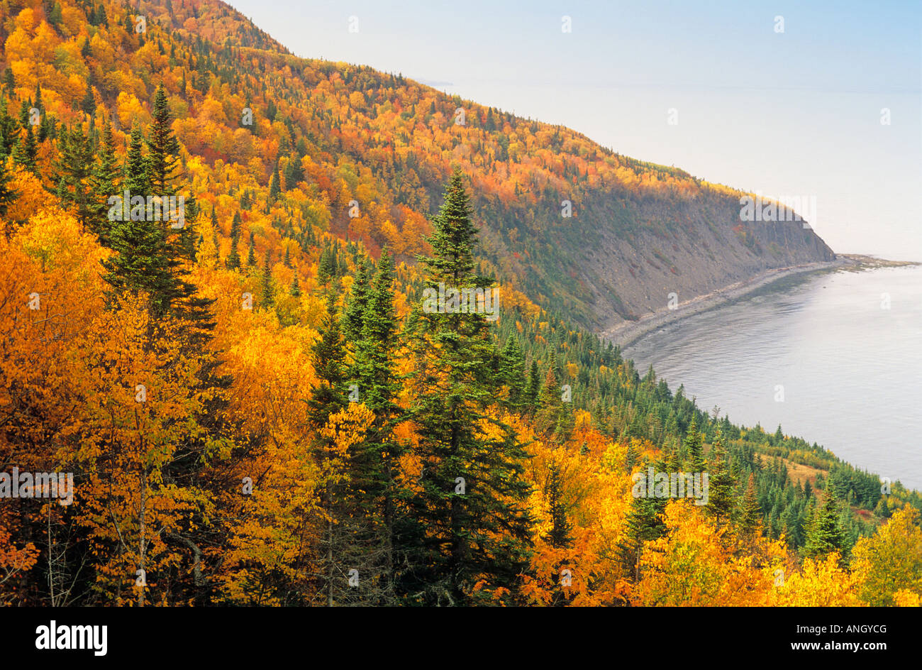 Fall colours in Forillon National Park, Gaspe, Quebec, Canada Stock ...