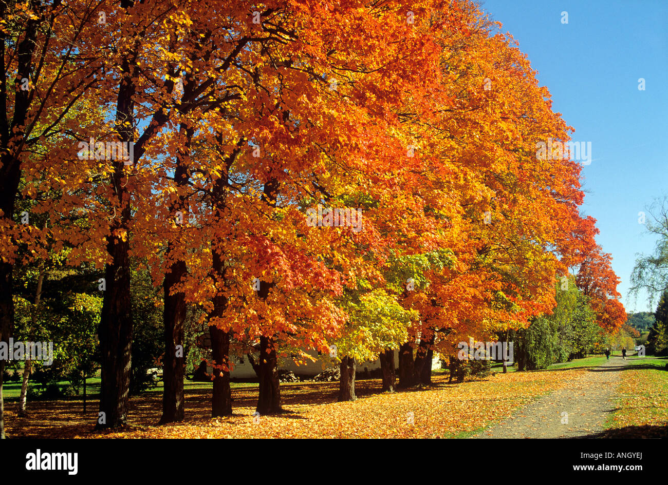 Sentier nb trail hi-res stock photography and images - Alamy