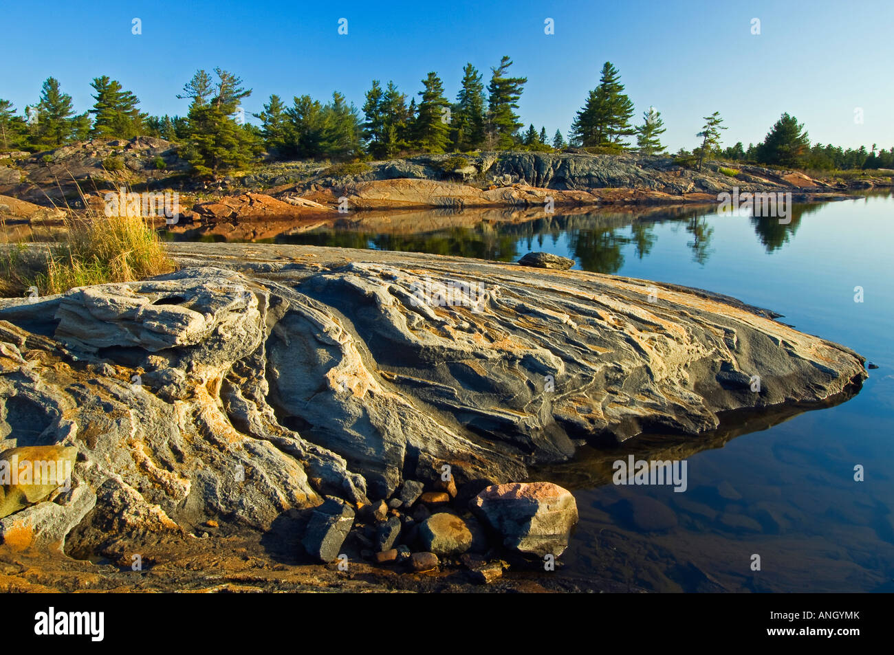 Precambrian shield rock along shoreline of Georgian Bay, French River ...
