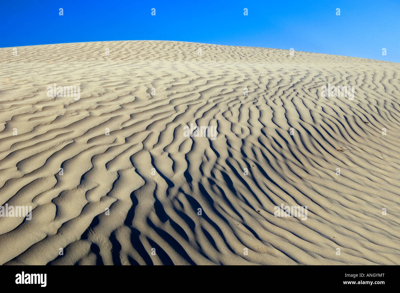 Patterns in sand dunes, Great Saskatchewan Sand Hills, Saskatchewan ...
