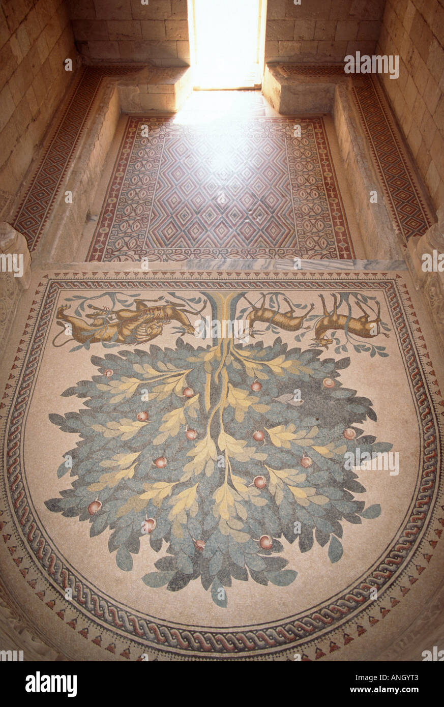 Diwan Mosaic, Hisham's Palace, Jericho, Israel Stock Photo - Alamy