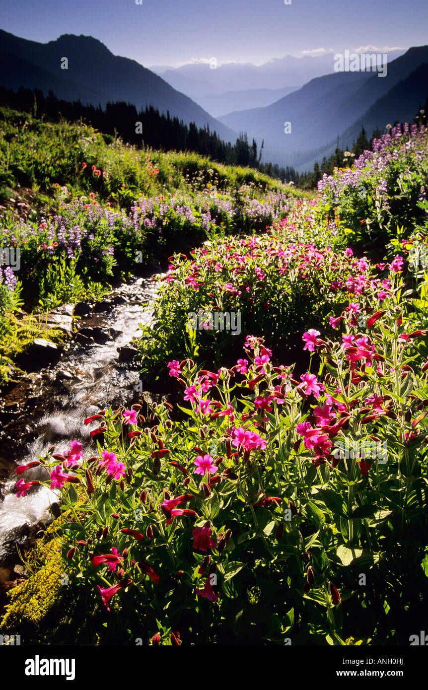 South chilcotin range hi-res stock photography and images - Alamy
