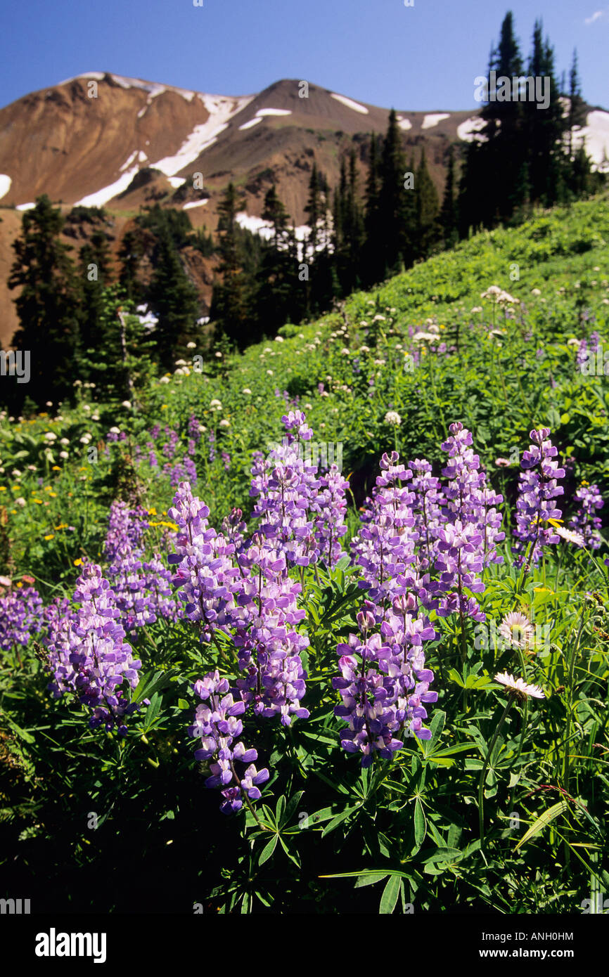 South chilcotin range hi-res stock photography and images - Alamy