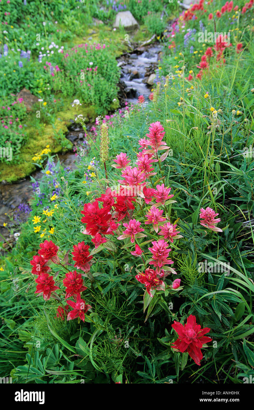 South chilcotin range hi-res stock photography and images - Alamy