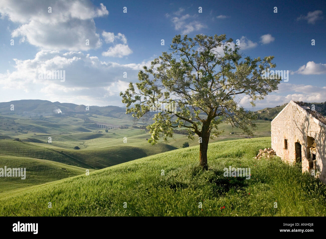 Pergusa hi-res stock photography and images - Alamy