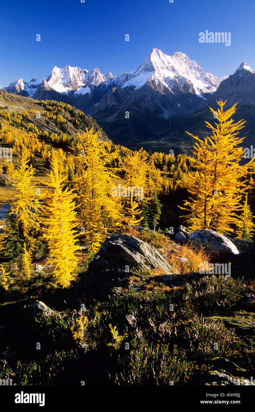 Purcell mountains canada jumbo hi-res stock photography and images - Alamy