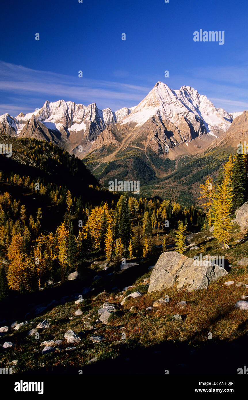 Sunset, Columbia Mountains. Jumbo Pass, Jumbo Mountain, British ...
