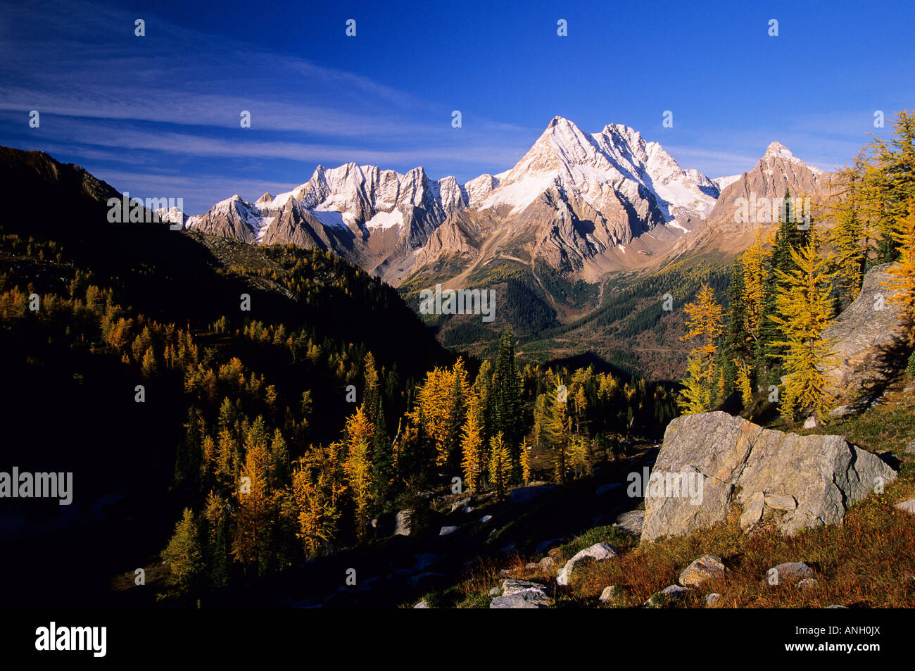 Jumbo moun hi-res stock photography and images - Alamy