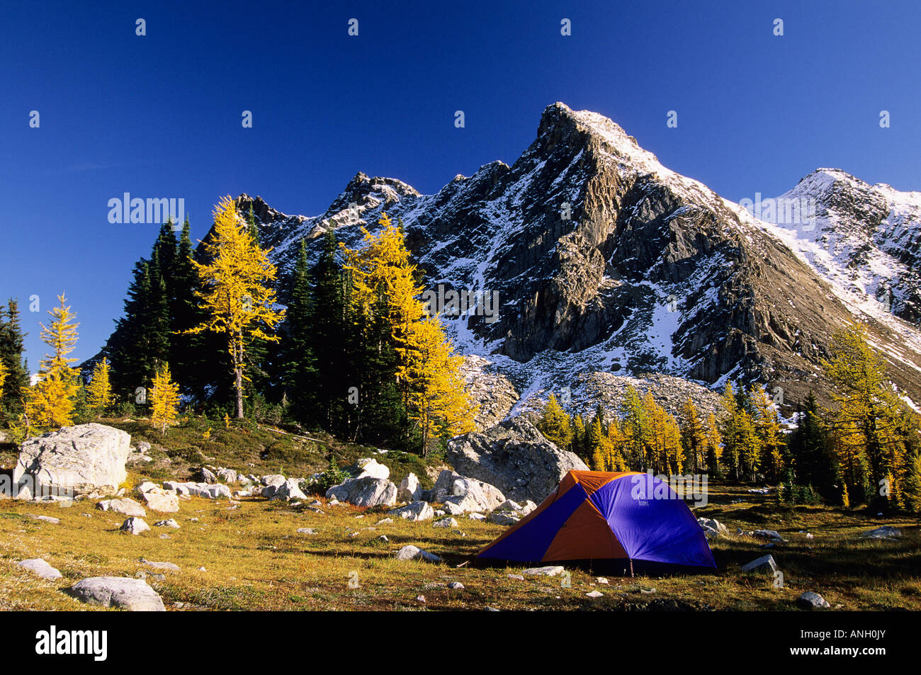 Purcell mountains canada jumbo hi-res stock photography and images - Alamy