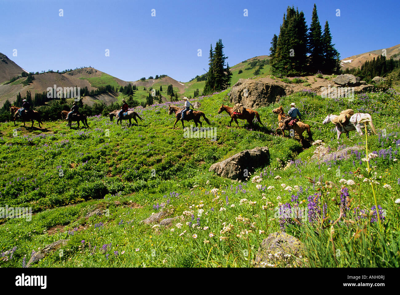 South chilcotin range hi-res stock photography and images - Alamy